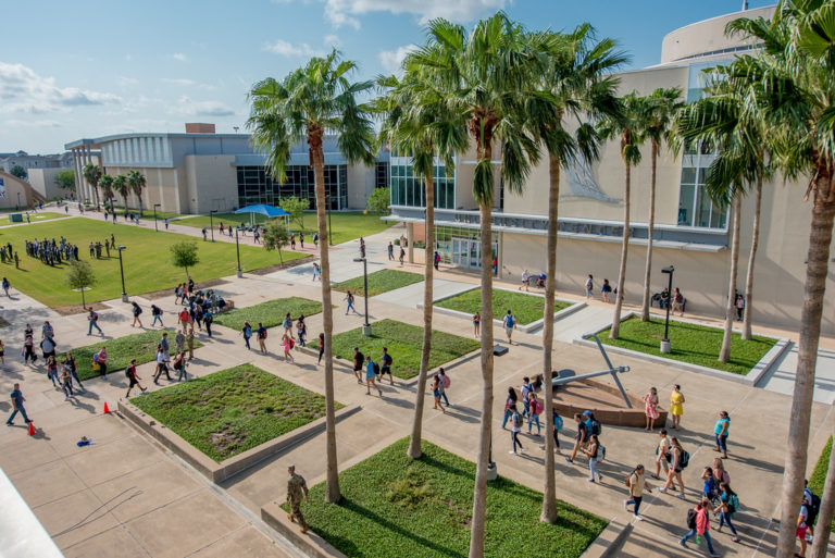 7 Colleges in US Tropical Islands That Are Cheap or Free - College Cliffs
