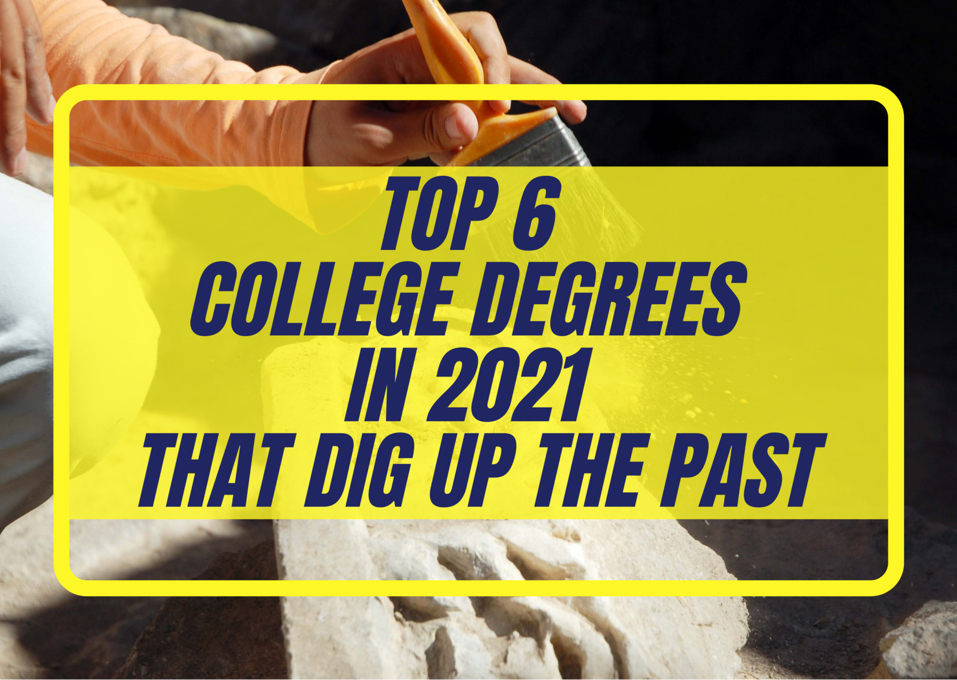 Top 6 College Degrees That Dig Up the Past! Archaeology and Beyond ...