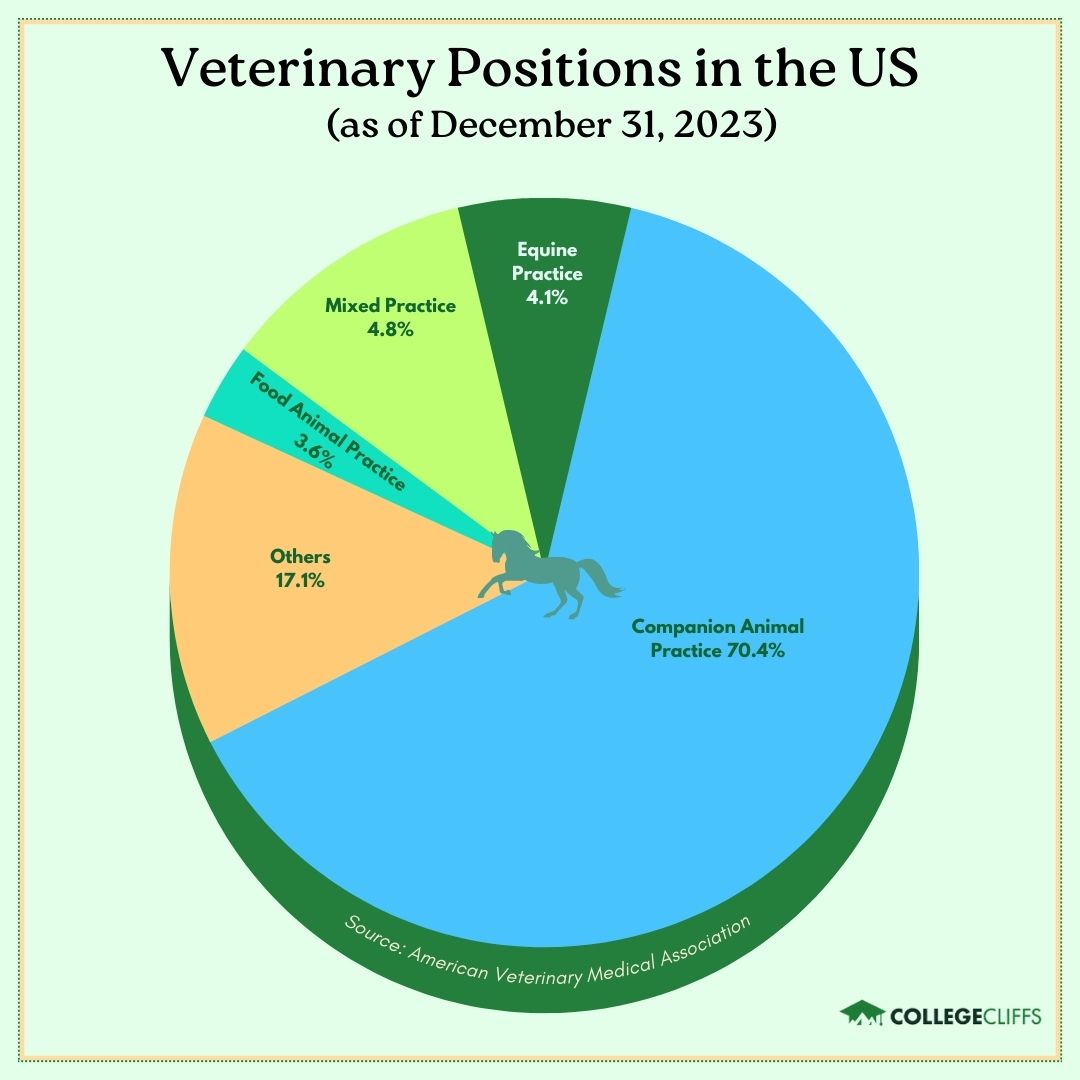 10 Colleges for Horse Lovers: Best Equine Studies Courses - College Cliffs