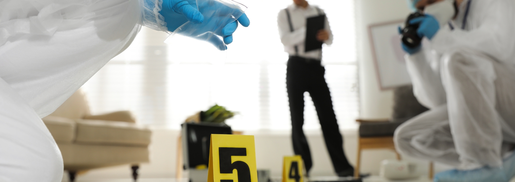10 Best Online Bachelor's in Crime Scene Investigator Degrees - College Cliffs