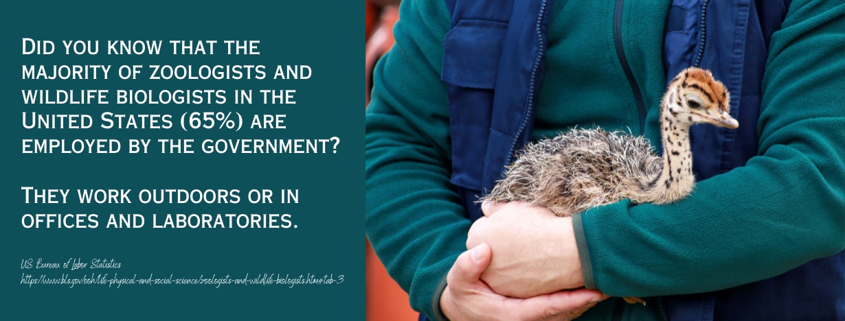 10 Best Zoology / Animal Science Online Associate Degree Programs ...