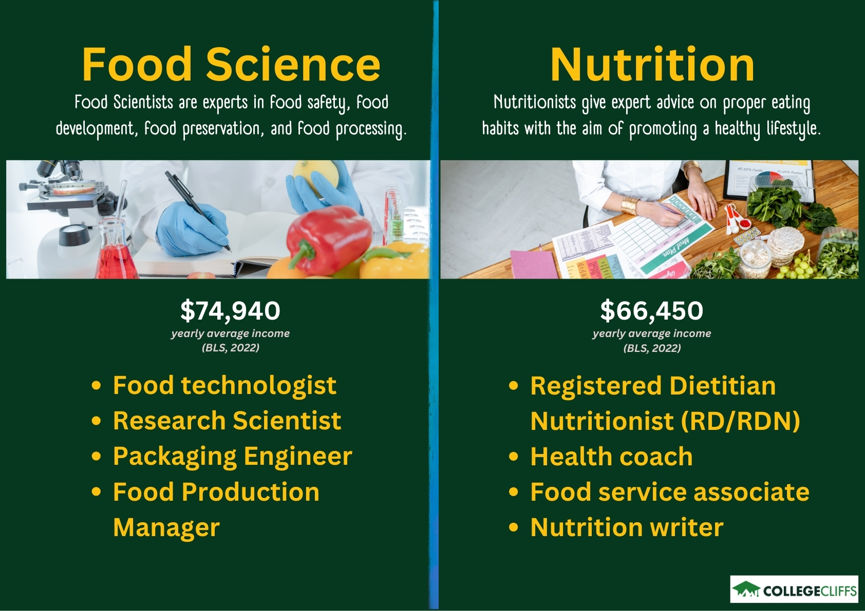 Food Science vs Nutrition: Career ROI - College Cliffs