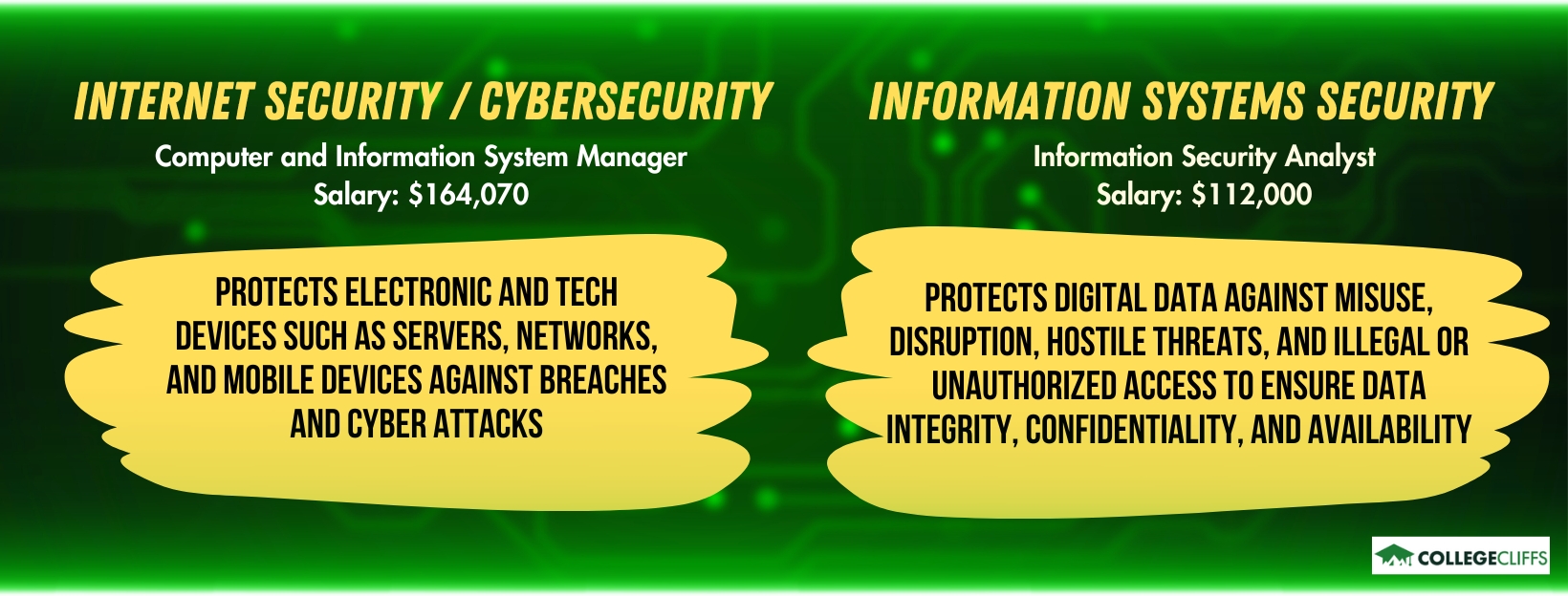 Internet Security vs Information Systems Security: Career ROI - College Cliffs
