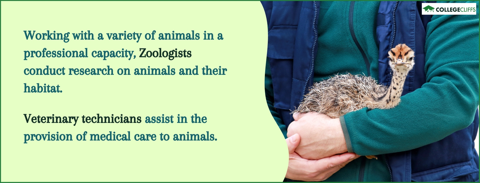 Zoology/Animal Science vs Veterinary Tech: Career ROI - College Cliffs