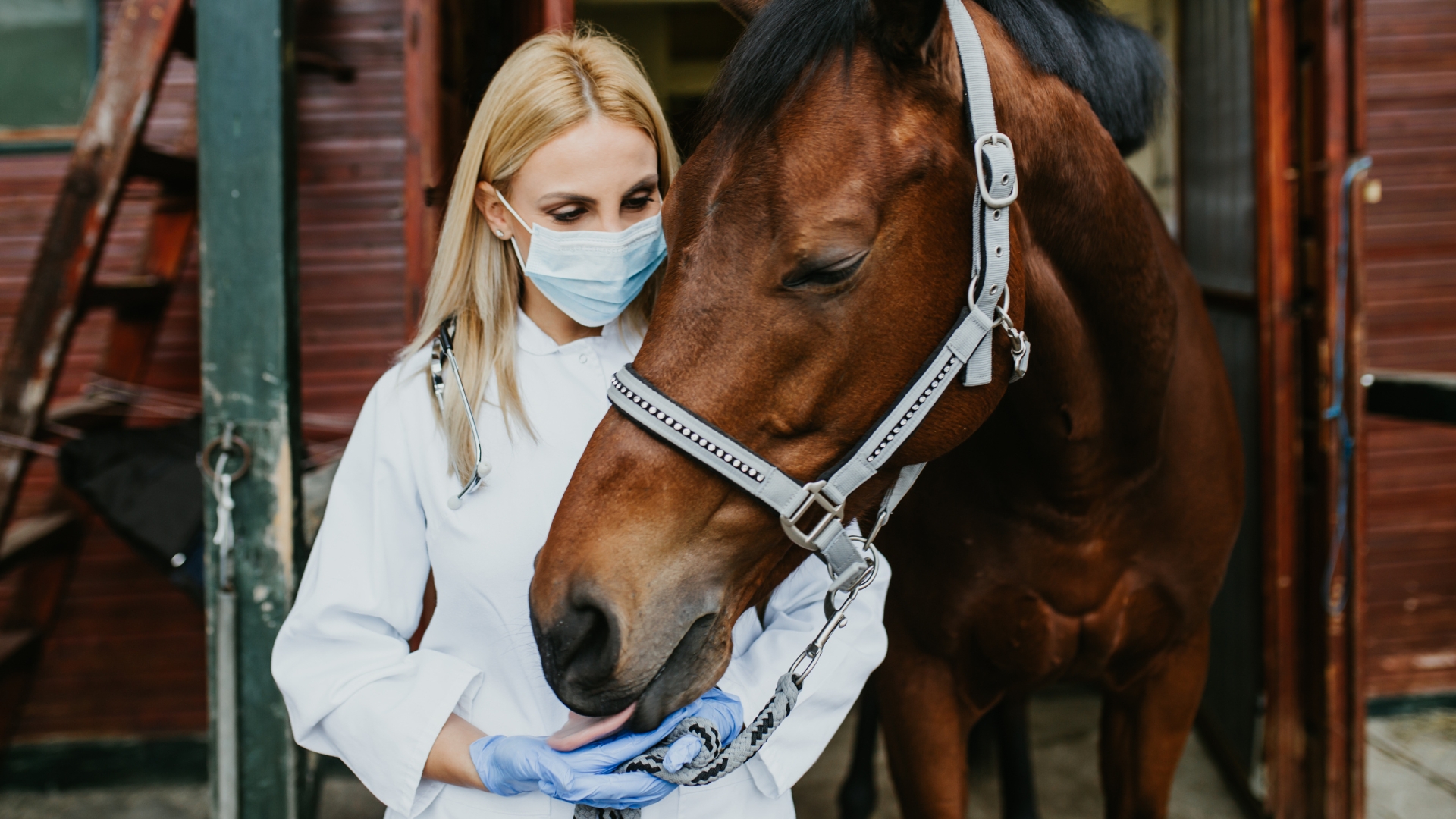 Zoology/Animal Science vs Veterinary Tech: Career ROI - College Cliffs